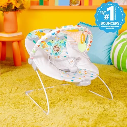 Best Affordable Baby Bouncer: Top Picks For Budget Parents ...