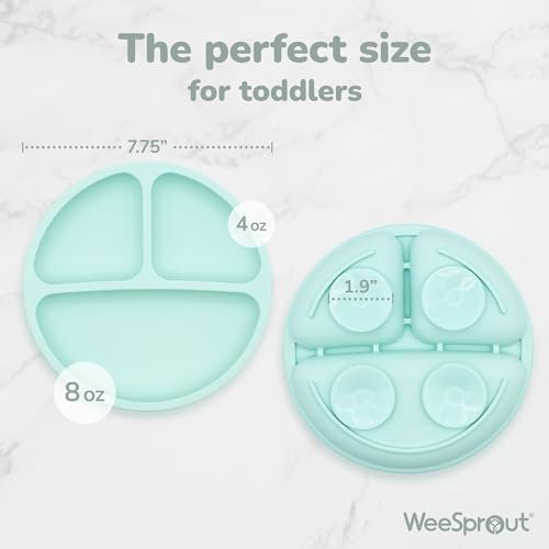 Best Toddler Plate For Daycare And Travel: Top Picks - BestGearReviews